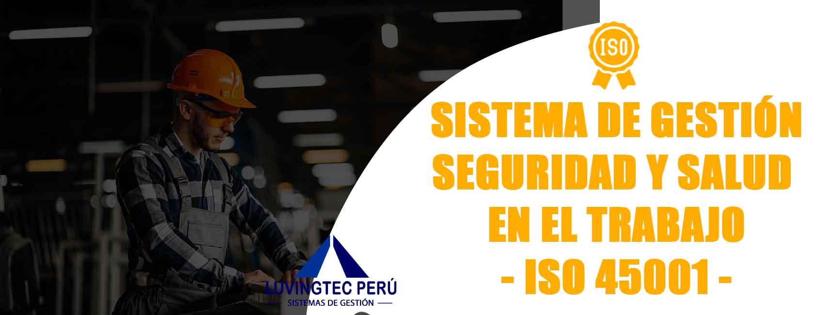 Seguridad y Salud en el Trabajo ISO 45001 | Seguridad Laboral, Calidad y Tecnologías de la ...